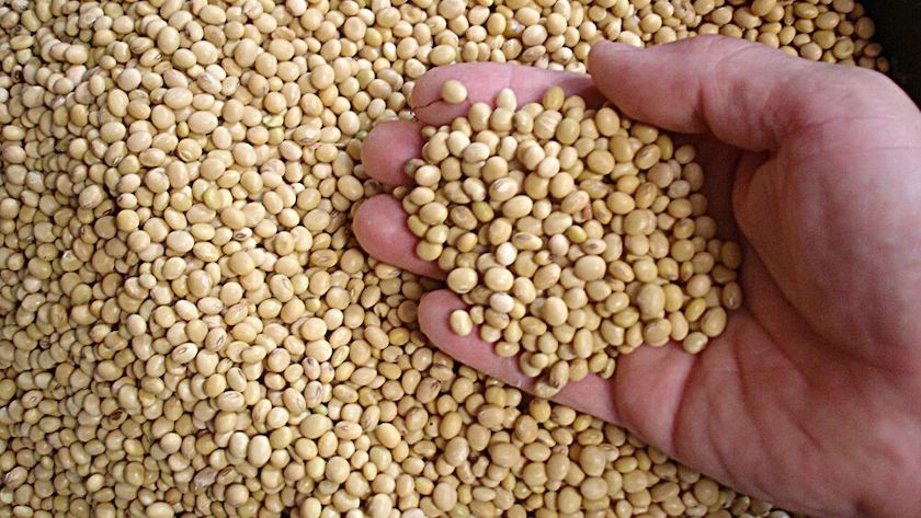 Bayer Signs on to Distribute Enlist E3 Technology, Works toward Launch ...