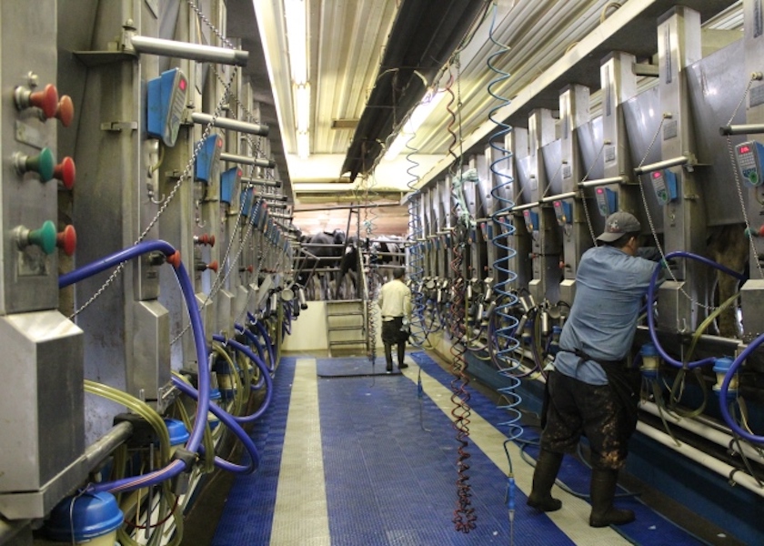 Tips for a More Efficient, Productive Parlor | Dairy Herd