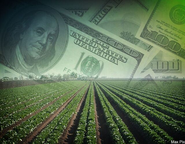 How Much More Will The 2022 Crop Cost? | AgWeb