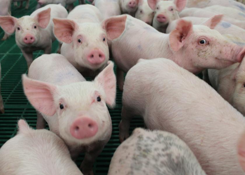 Merck Animal Health Invests in Digital Swine Traceability Solution ...