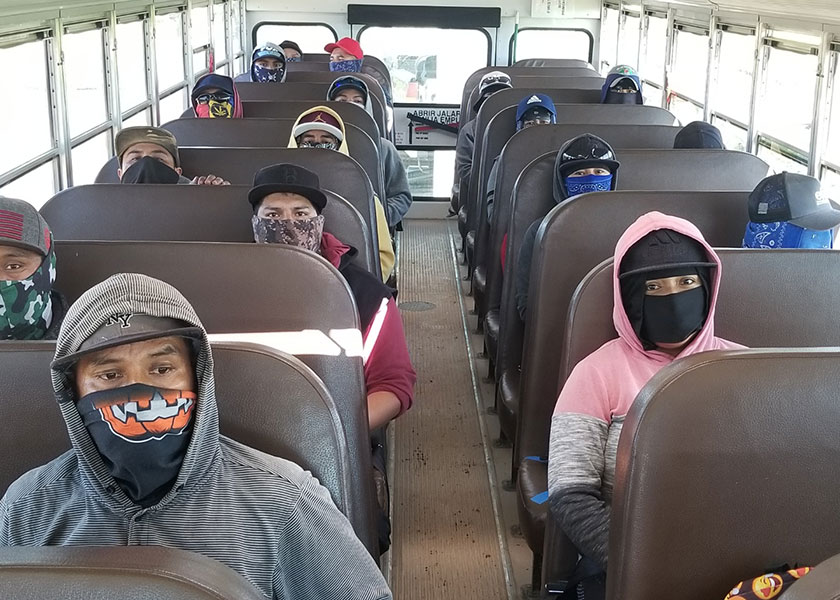 H-2A program helps growers navigate labor shortage | The Packer