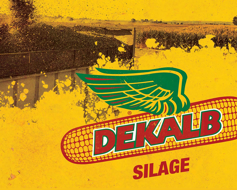 The 2023 Silage Guide Is Now Available | Dairy Herd