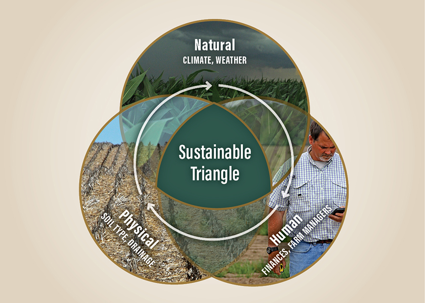 Farming In The Sustainable Triangle: Human, Natural and Physical ...