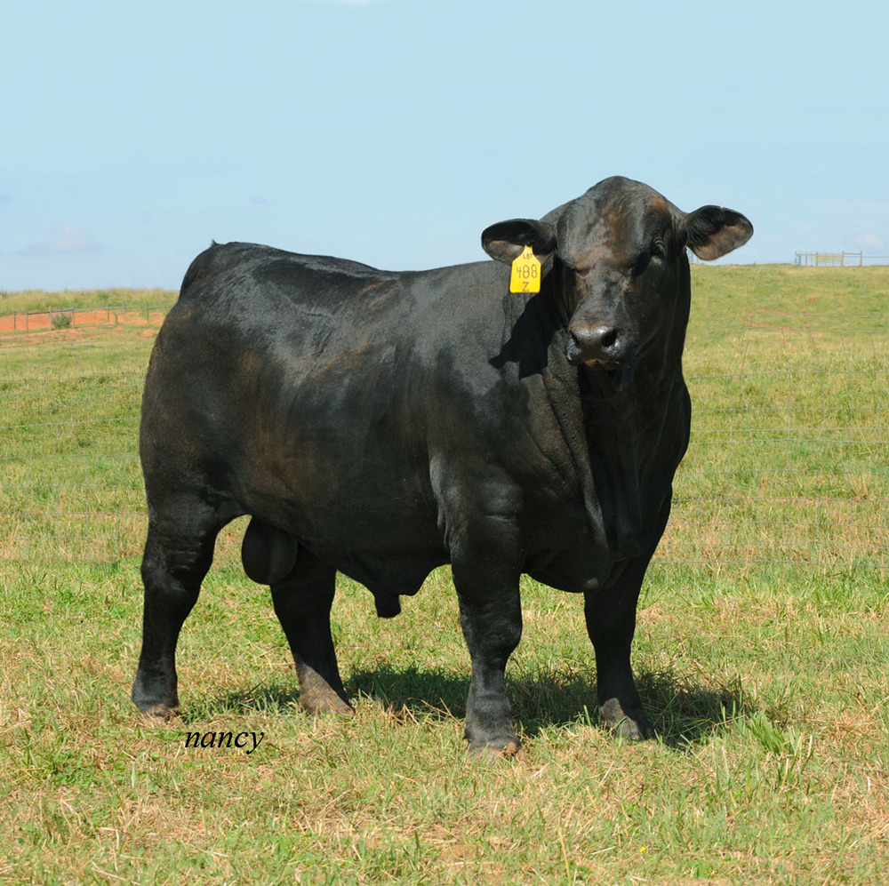 Seminole Tribe of Florida Sells its Interests in Salacoa Valley Farms ...