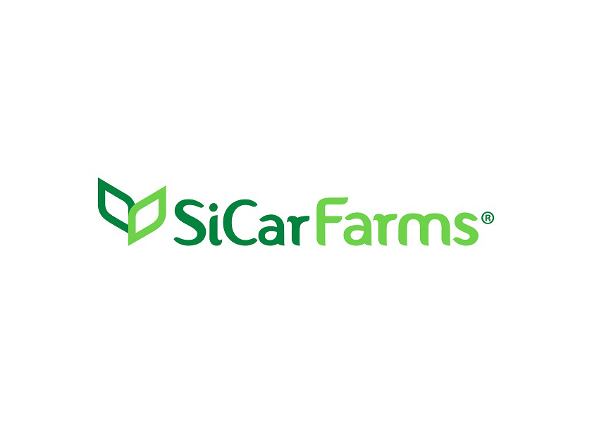 SiCar Farms reports expanded season for winter citrus | The Packer