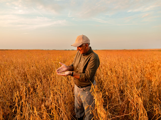 Ag Producers Share Lessons Learned from a Volatile 2021 | AgWeb