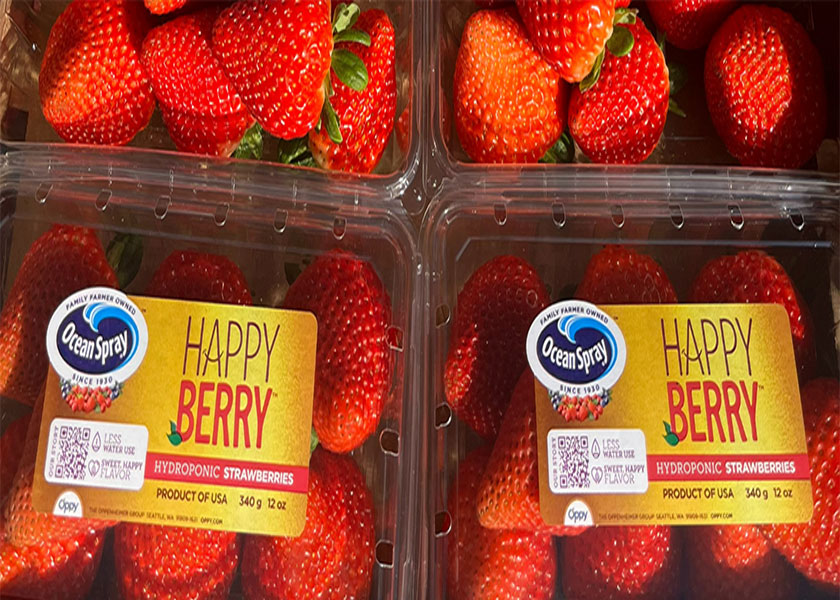 Oppy goes hydroponic with new strawberry release