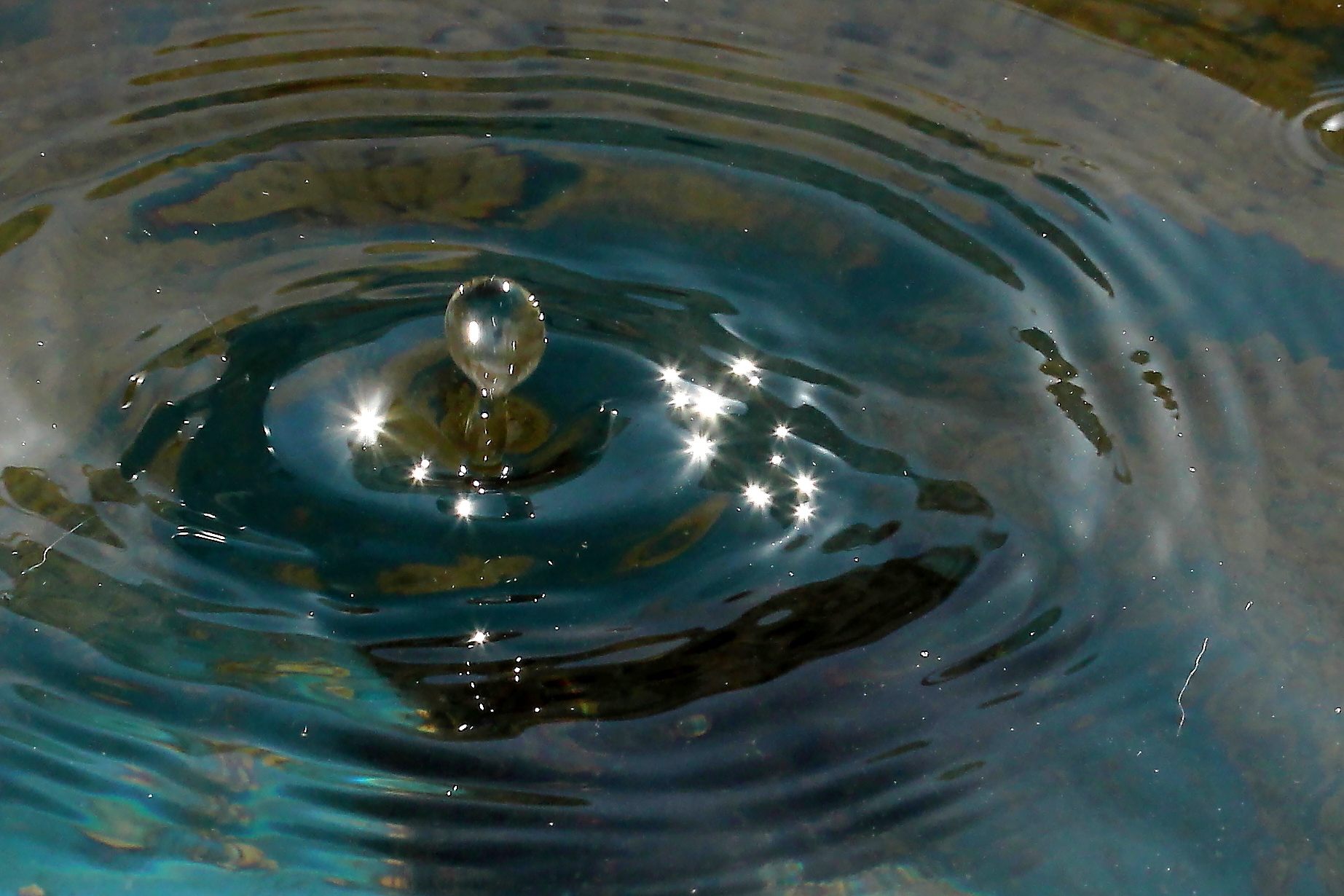 Unlimited Groundwater In the Desert Pads Pockets of Saudi Corporation ...