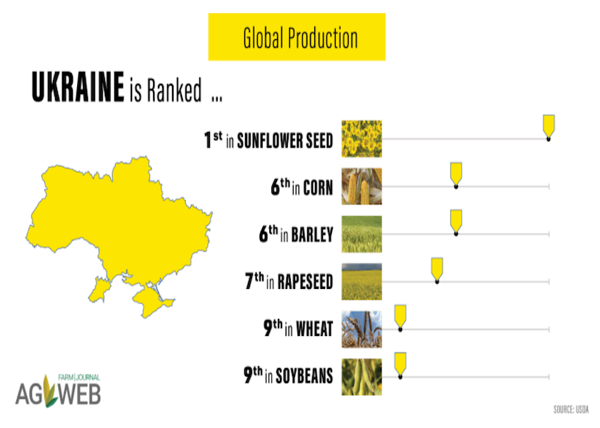 Ukraine Makes a Lot of Grain: Now What? | Dairy Herd