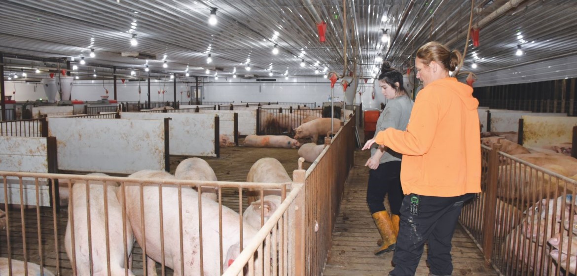 How Tosh Farms Is Equipping an Unlikely Source of Employees In the Sow ...