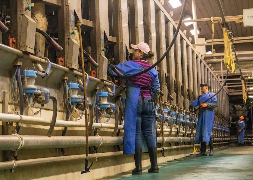 Dairy Farmers Face Labor Challenges Never Seen Before | Dairy Herd