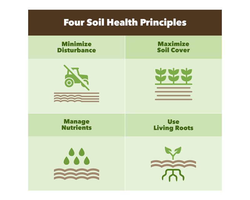 3 Steps to Healthy Soil | AgWeb