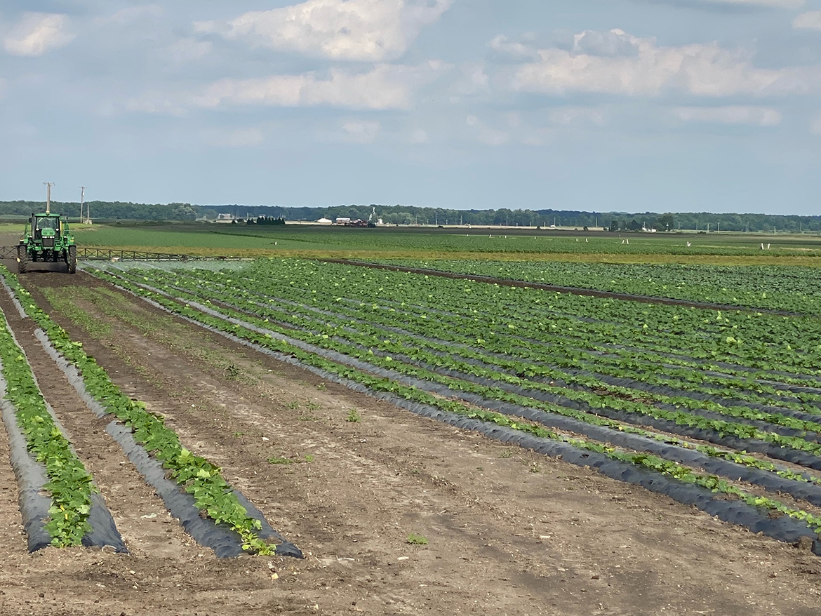 Ohio, ‘a good place to be’ for produce | The Packer