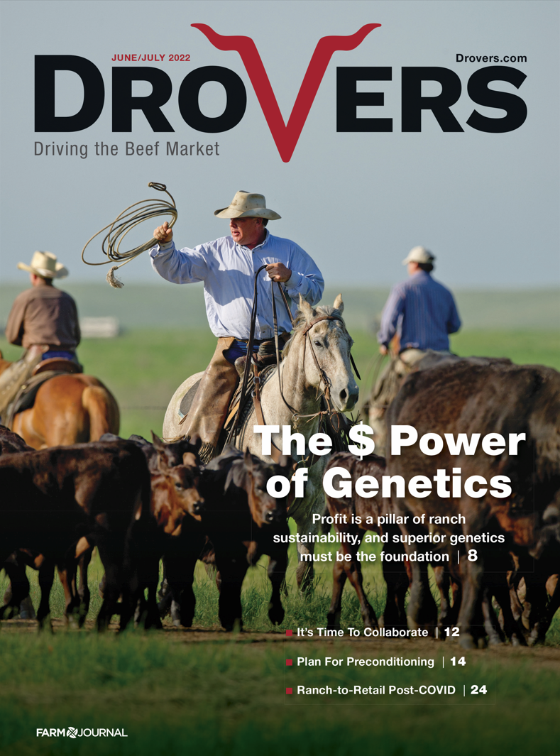 Issue Archive | Drovers