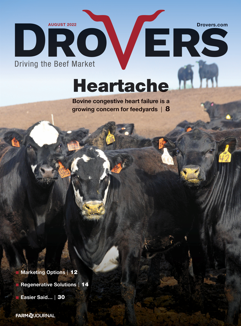 Issue Archive | Drovers