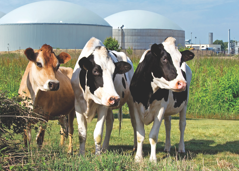 Sustainable Solutions Through Manure Management | Dairy Herd