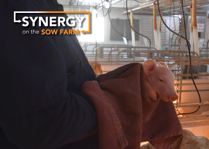 Employee Emotional Health: The Crisis No One Wants to Talk About on the ...