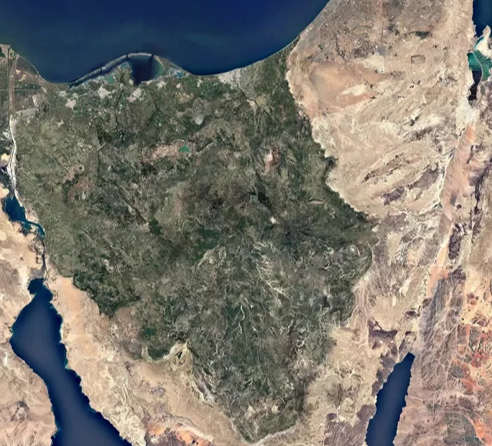 Greening the Desert: Dutch Researchers Work to Restore Sinai Peninsula ...