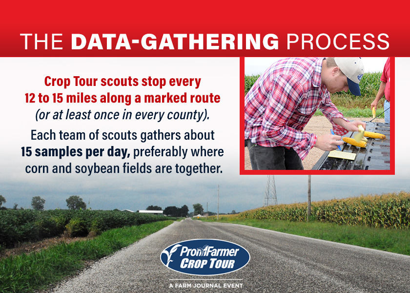 Understand the Pro Farmer Crop Tour Data-Gathering Process | AgWeb