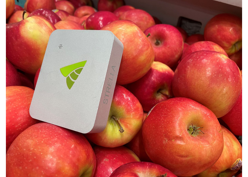 Strella launches automated quality management platform for retailers ...