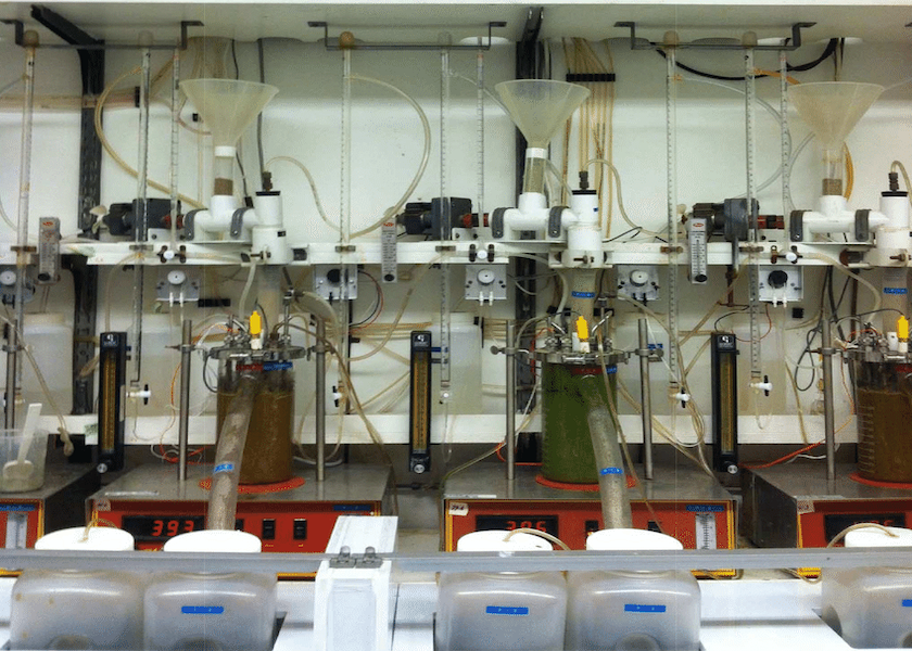 Thermodynamics of Rumen VFA Studied | Dairy Herd