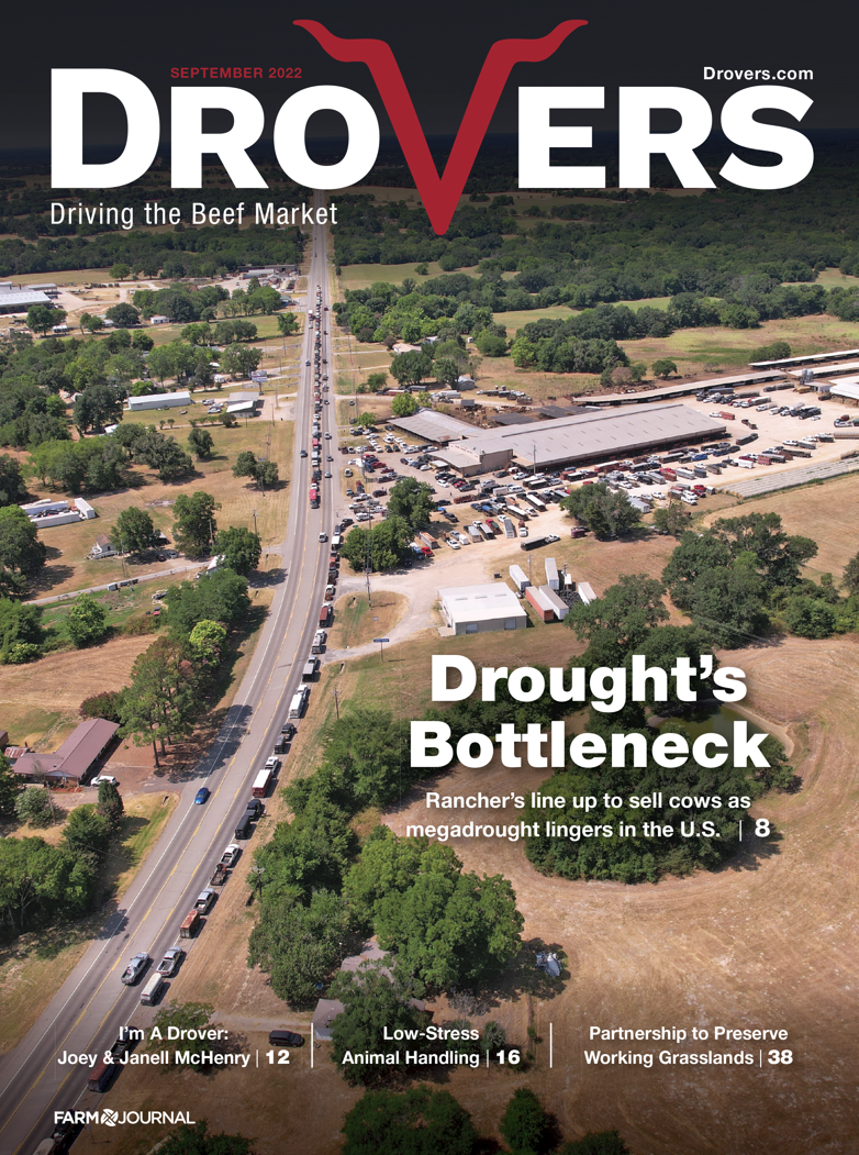 Issue Archive | Drovers