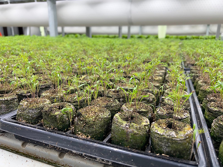 Fair Food Program certifies its first vertical farm, Hardee Fresh | The ...