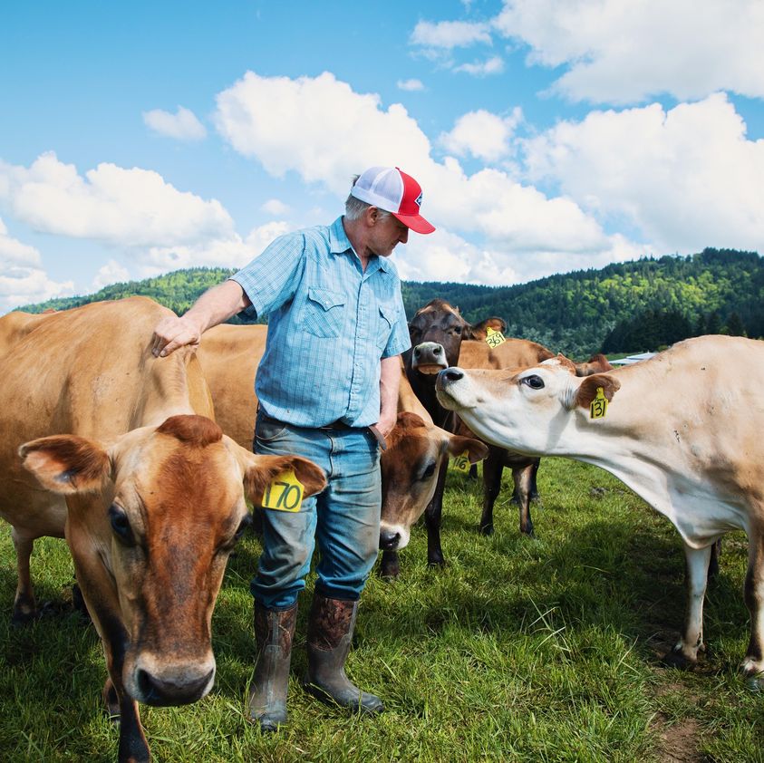 When the Cows Leave: Trusting the Next Life Chapter | Dairy Herd