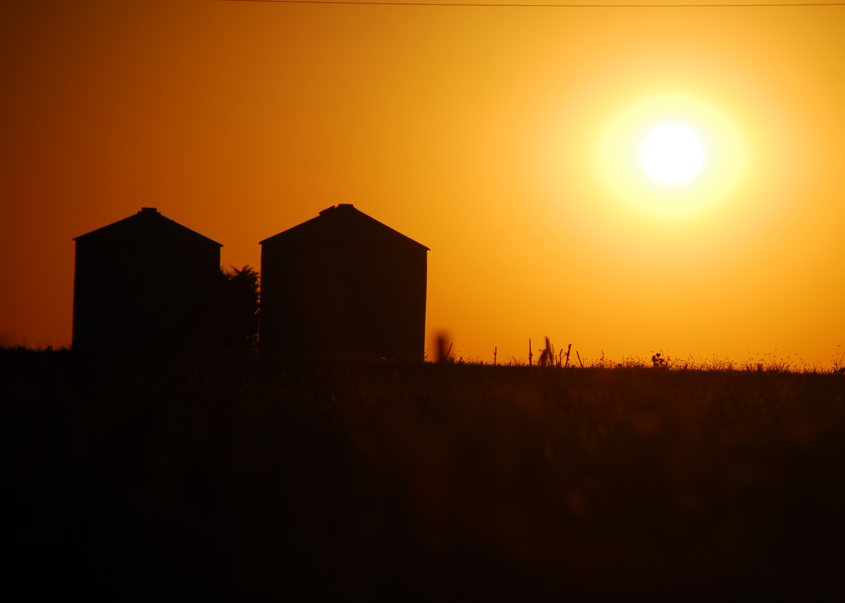 How to Avoid the 7 Common Grain Bin Storage Problems | AgWeb
