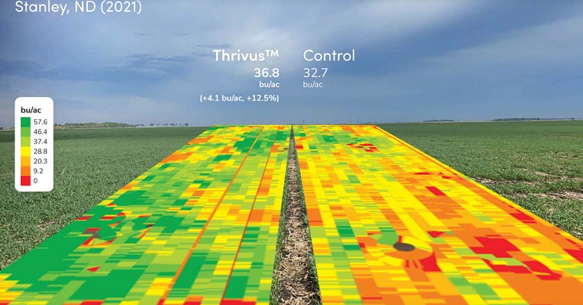 Maximize Yield Even in Sub-Optimal Areas | AgWeb