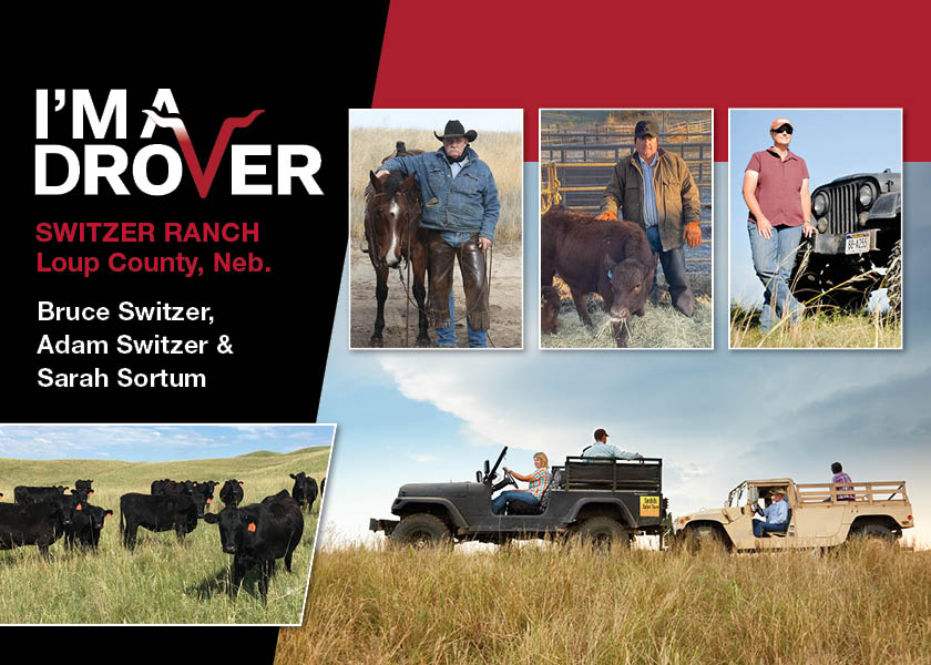 From Adversity to Diversity: A Ranch's Tough Decisions Led To ...