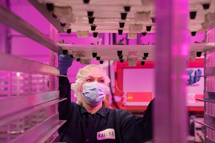 In the heights: Q&A with Kalera CEO Jim Leighton | The Packer