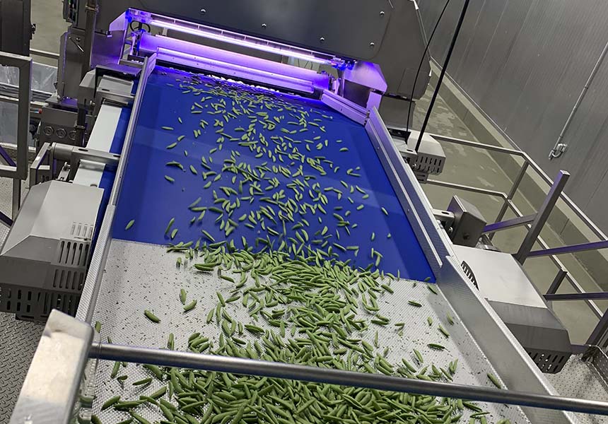 Mann Packing upgrades snap pea program | The Packer
