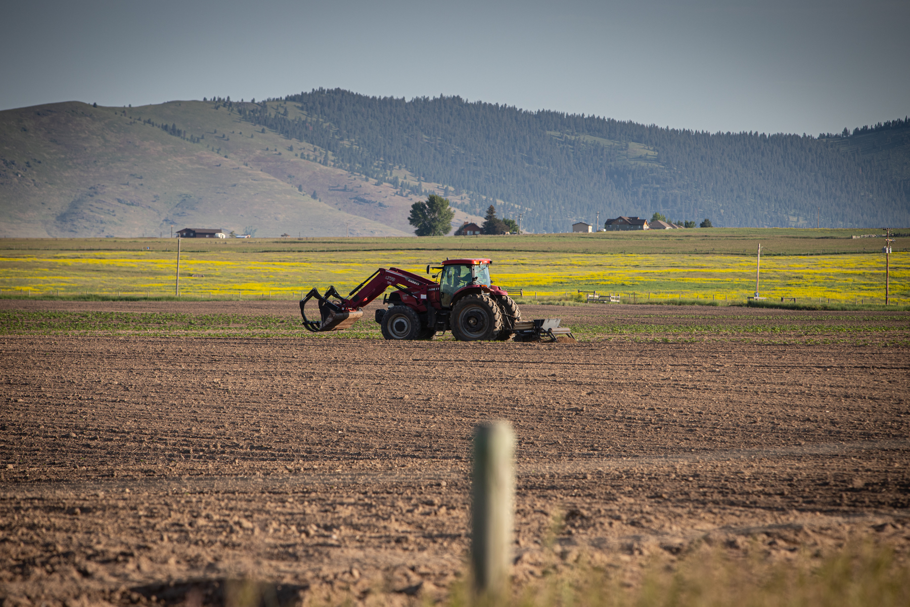 USDA Provides Nearly $800 Million to Help Keep Farmers Farming | Drovers
