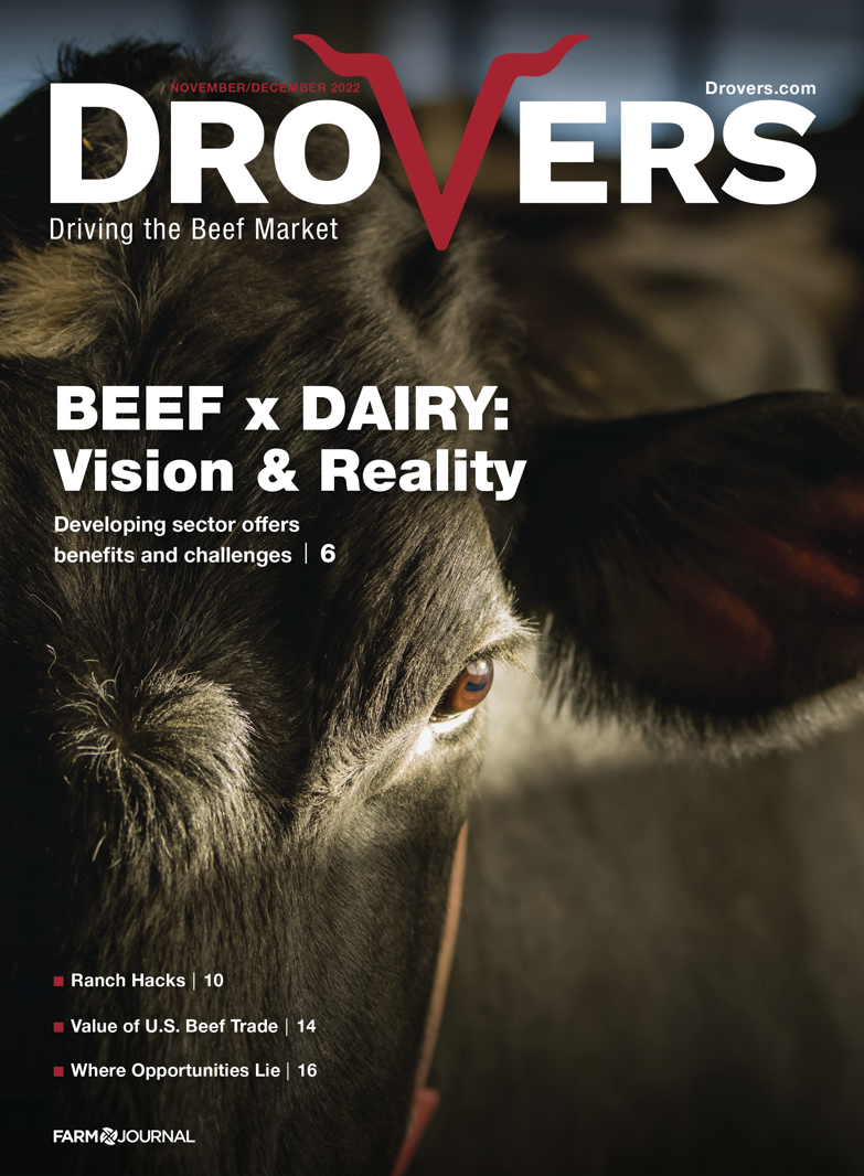 Issue Archive | Drovers