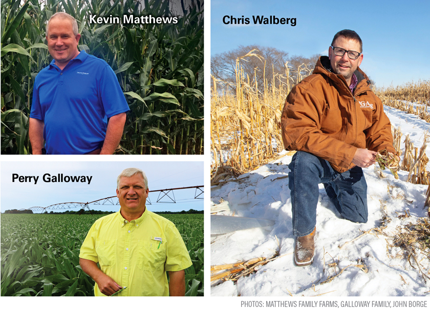 Perform a Crop Autopsy to Identify Your Top Yield Robbers | AgWeb