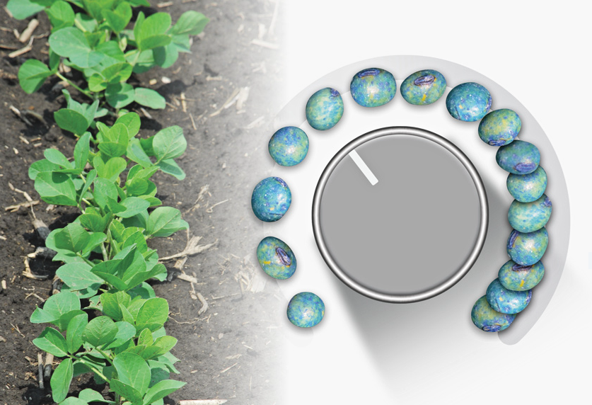 With Soybean Planting Populations, How Low Can You Go? | AgWeb