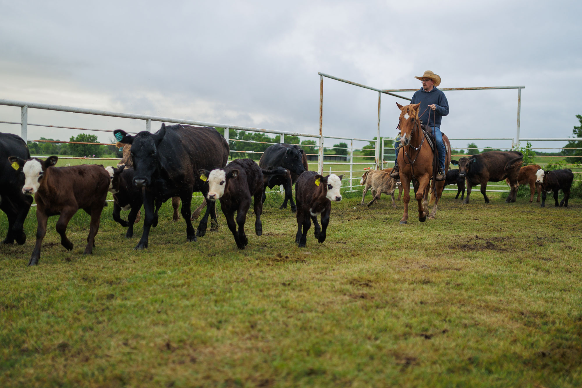 Noble Research Institute Releases Ranch Safety Guide | Drovers