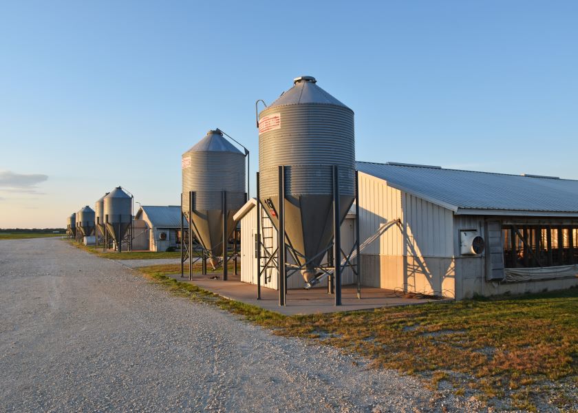 Feed and Biosecurity: What You Need to Know | Pork Business