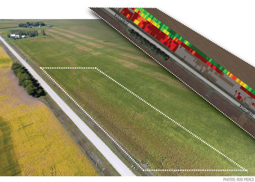Corn Yield Losses to ‘Edge Effect’ Elevated by Contrary Micro-Climate ...