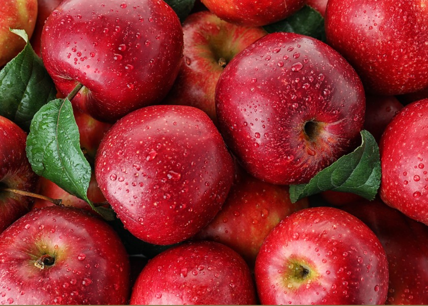 Flamm Orchard Sales installs new apple packing system | The Packer