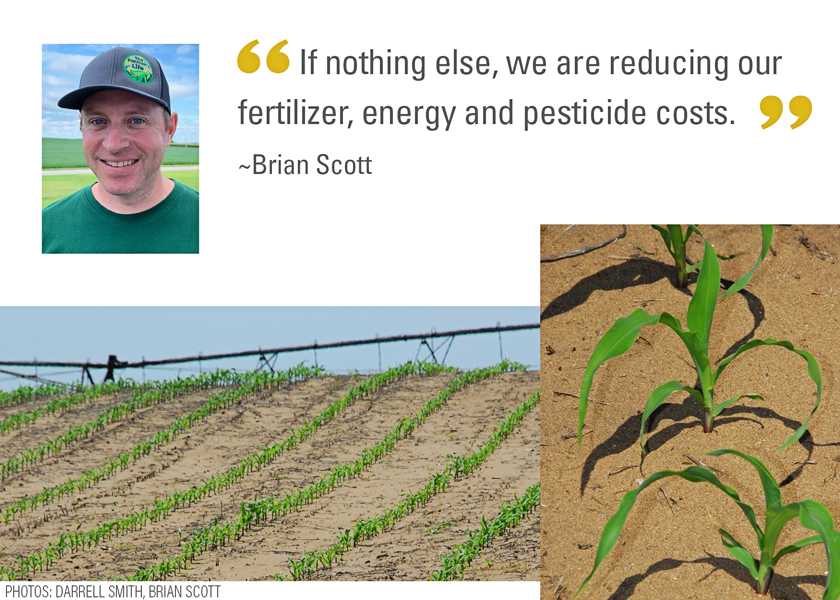 Sub Acre Profit Equation Ensure Each Acre Earns Its Keep AgWeb