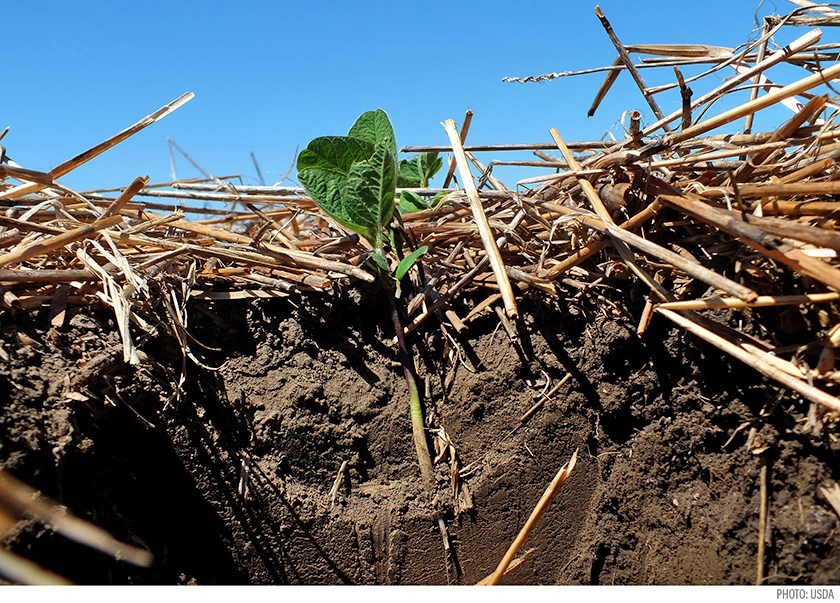 3 Steps to Get Your Soil Back on Track | AgWeb