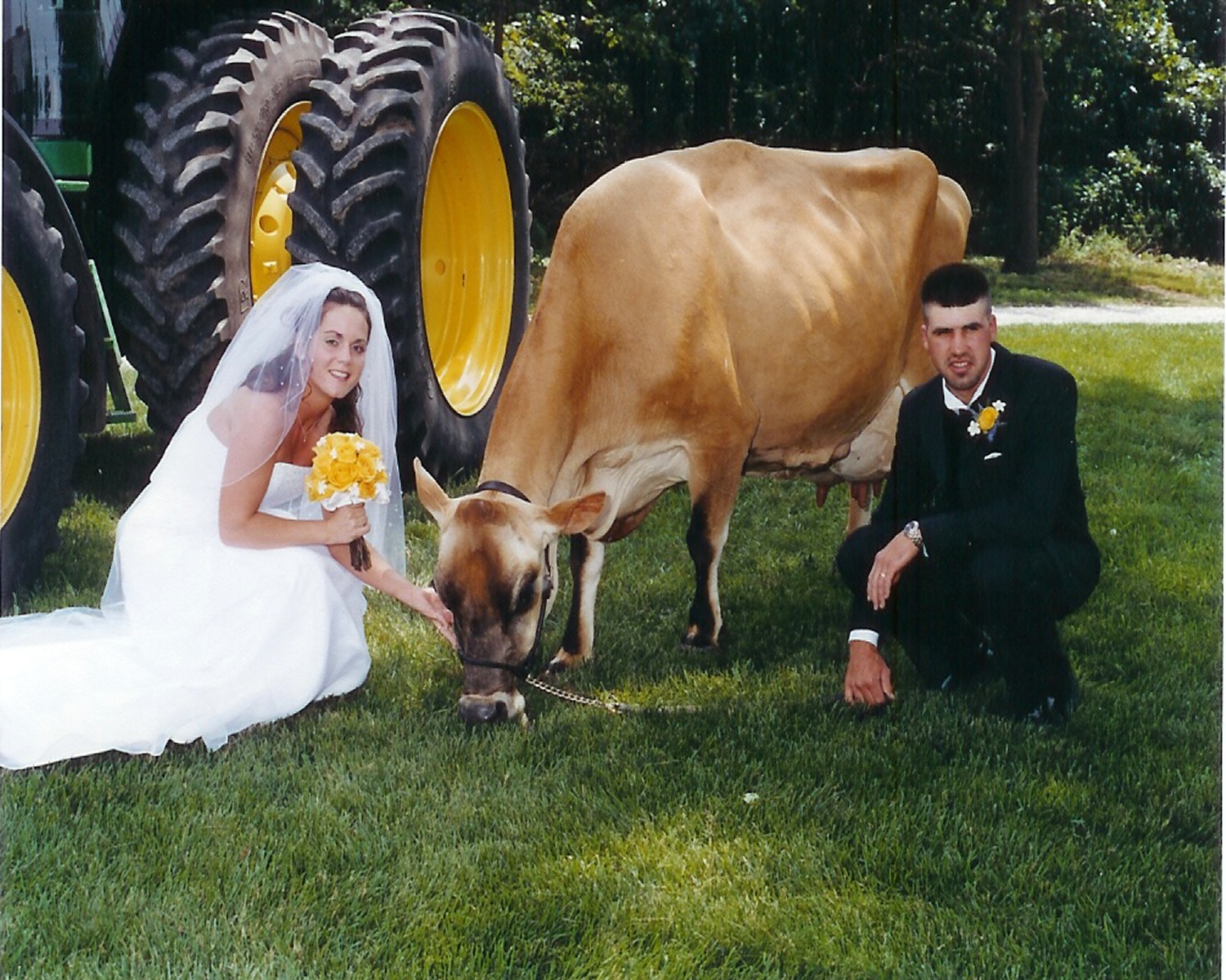 The Truth Behind Being Married 20 Years to a Dairy Farmer | Dairy Herd