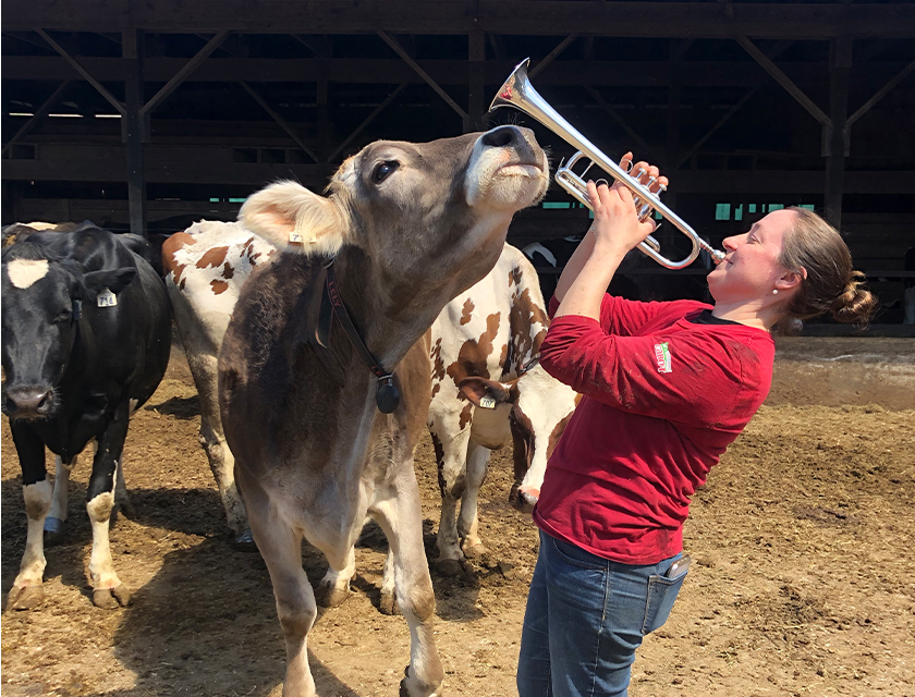 For the Love of Cows and Music | Dairy Herd