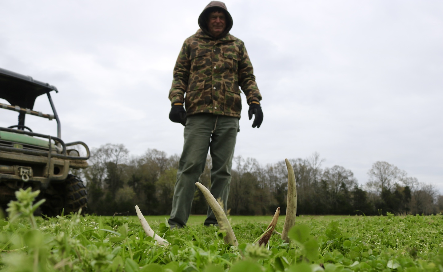 Where Have All the Deer Sheds Gone? | AgWeb