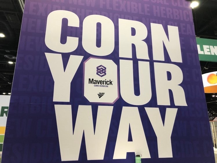 Valent USA Enters Corn Industry With Three Modes of Action Herbicide ...