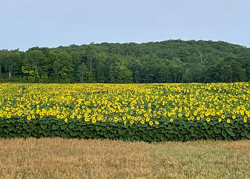 Changing Attitudes | AgWeb