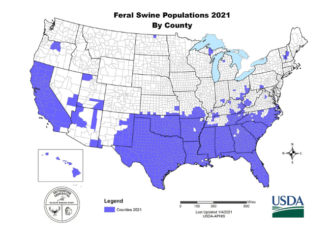 Feral Swine Damages Reach $28 Per Acre Annually in Western Gulf Region ...