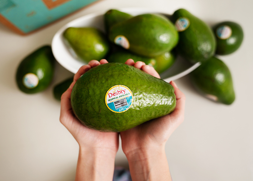 Miami-based grower to highlight tropical avocados at CPMA show | The Packer